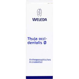 Weleda Thuja Occidentalis Urtinktur 20 ml