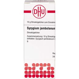 DHU-Arzneimittel Syzygium Jambolanum D 12 Globuli 10 g