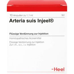 Heel Arteria Suis Injeel Ampullen 10 St