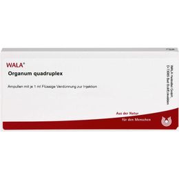 WALA Organum quadruplex Ampullen 10X1 ml