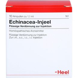 Heel Echinacea Injeel Ampullen 10 St