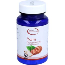 Yamswurzel Pulver 50 g