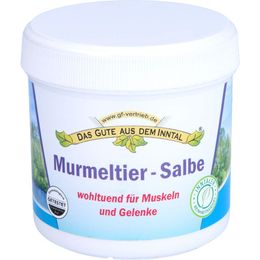 Axisis Murmeltier Salbe im Tiegel 200 ml