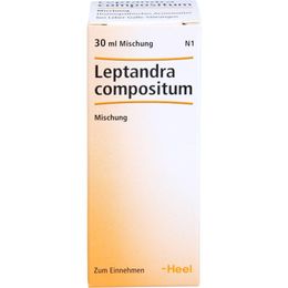 Heel Leptandra Compositum Tropfen 30 ml