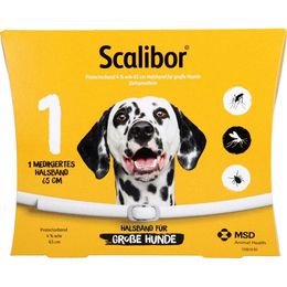 ScaIi-bor Protectorband 65 cm f.gro&szlig;e Hunde 1 St