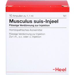 Heel Musculus Suis Injeel Ampullen 10 St