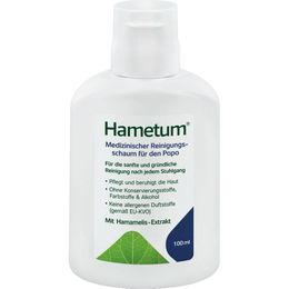 Hametum Reinigungsschaum 100 ml