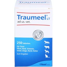 Heel Traumeel Lt ad us.vet.Tabletten 250 St