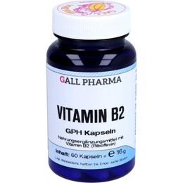 Hecht-Pharma Vitamin B2 Gph 1,6 mg Kapseln 60 St