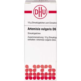 DHU-Arzneimittel Artemisia Vulgaris D 6 Globuli 10 g