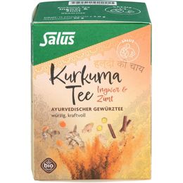 Kurkuma Tee Ingwer & Zimt Bio Salus Filterbeutel 15 St