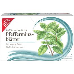 H&S Pfefferminztee Filterbeutel 20X1.5 g
