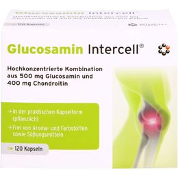 INTERCELL-Pharma GmbH Glucosamin Intercell Kapseln 120 St