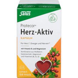 Salus Protecor Herz-Aktiv Kapseln 120 St