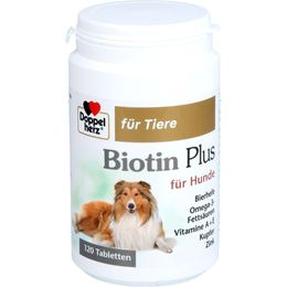 Queisser Doppelherz für Tiere Biotin Plus Tabletten f.Hunde 120 St