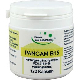 Pangam Vitamin B15 Kapseln 120 St