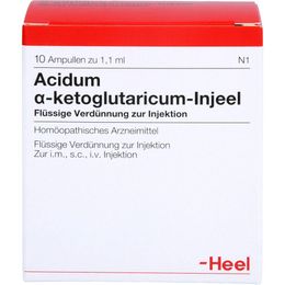 Heel Acidum ALPHA-KETOGLUTARICUM Injeel Ampullen 10 St