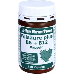 Hirundo FOLS&Auml;URE+B12+B6 Kapseln 120 St
