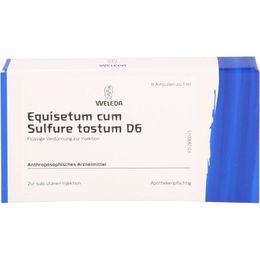 Weleda Equisetum Cum Sulfure tostum D 6 Ampullen 8X1 ml