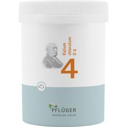 Pfl&uuml;ger&reg; Biochemie Pfl&uuml;ger 4 Kalium chloratum D 6 Pulver 250 g