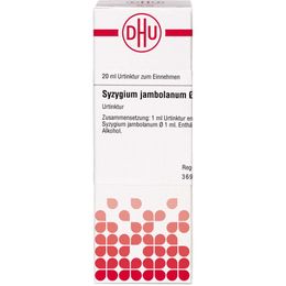 DHU-Arzneimittel Syzygium Jambolanum Urtinktur D 1 20 ml