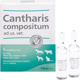 Heel Cantharis Compositum ad us.vet.Ampullen 5 St