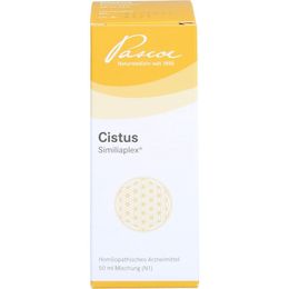 Pascoe Cistus Similiaplex Mischung 50 ml