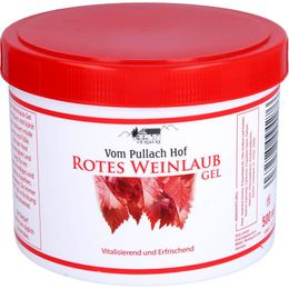 Axisis Rotes Weinlaub Gel 500 ml