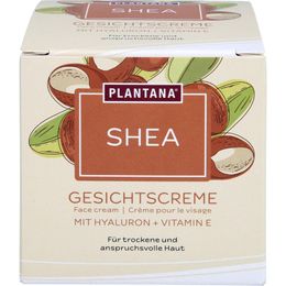 HAGER PHARMA Plantana Shea Gesichtscreme Hyaluron & Vitamin-E 50 ml