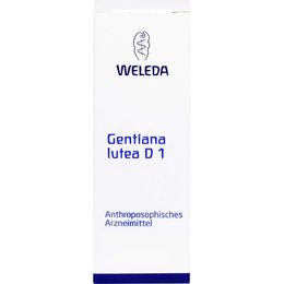 Weleda Gentiana Lutea D 1 Dilution 50 ml