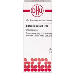 DHU-Arzneimittel Lobelia Inflata D 12 Globuli 10 g
