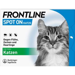 FRONTLINE SPOT ON Katze gegen Zecken und Flöhe 6 St