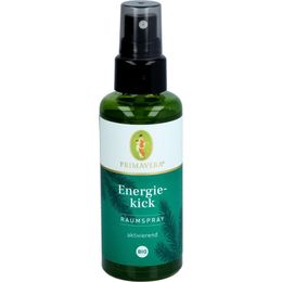 Primavera Energiekick Raumspray Bio 50 ml
