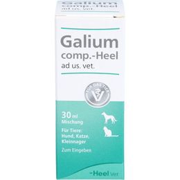 Galium COMP.-Heel ad us.vet.Tropfen 30 ml
