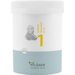 Pfl&uuml;ger&reg; Biochemie Pfl&uuml;ger 1 Calcium fluoratum D 12 Pulver 250 g
