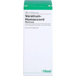 Heel Veratrum Homaccord Tropfen 30 ml