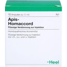 Heel Apis Homaccord Ampullen 10 St