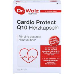 Dr. Wolz Zell GmbH Cardio Protect Q10 Kapseln 40 St