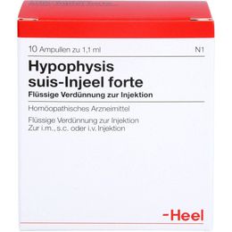Heel Hypophysis Suis Injeel forte Ampullen 10 St
