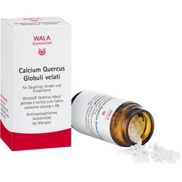 WALA Calcium Quercus Globuli velati 20 g