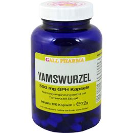 Hecht-Pharma Yamswurzel 500 mg Gph Kapseln 120 St