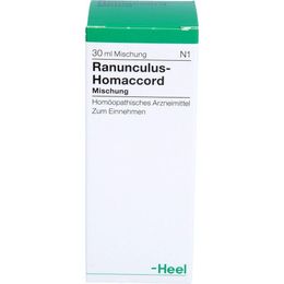 Heel Ranunculus Homaccord Tropfen 30 ml