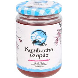 Hecht-Pharma Kombucha Teepilz 1 St