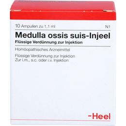 Heel Medulla Ossis suis Injeel Ampullen 10 St