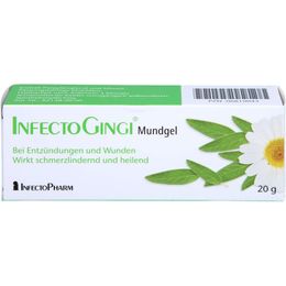 InfectoPharm&reg;  Infectogingi Mundgel 20 g