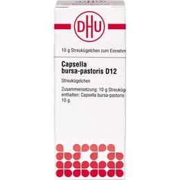 DHU-Arzneimittel Capsella Bursa pastoris D 12 Globuli 10 g