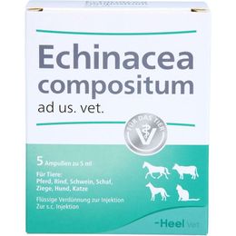 Heel Echinacea Compositum ad us.vet.Ampullen 5 St