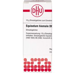DHU-Arzneimittel Equisetum Hiemale D 6 Globuli 10 g