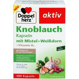 Queisser Doppelherz Knobl.Kap.m.Mistel+Wei&szlig;dorn+Vitamin B1 480 St