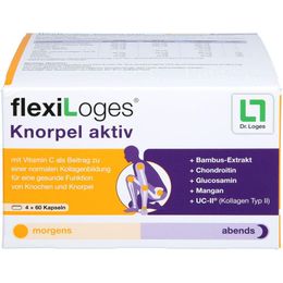 Dr. Loges + Co. GmbH Flexiloges Knorpel aktiv Kapseln 240 St